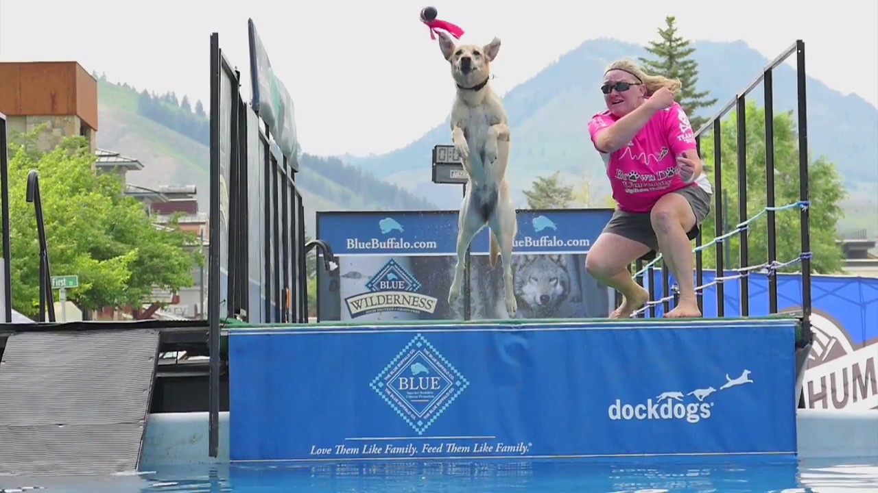 Los increíbles perros voladores de Ketchum, Idaho - Blog sobre Perros