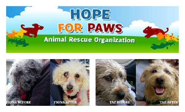 Hope for Paws y sus emotivos videos de rescate de perros - Blog sobre ...